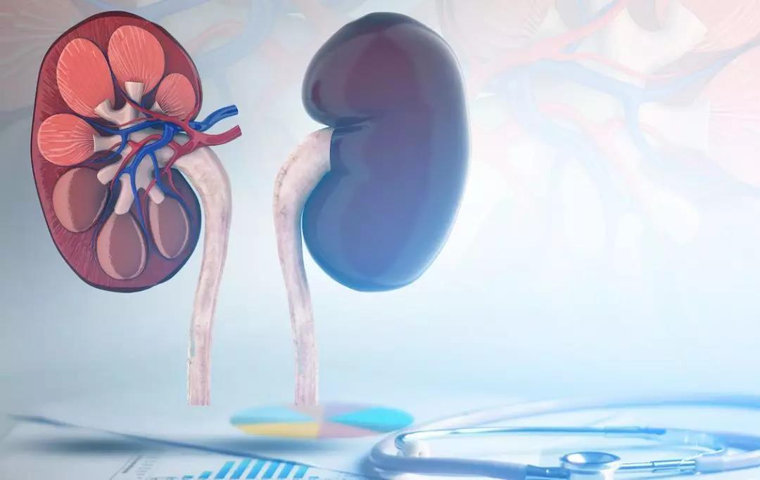 17-year-old child actually suffers from gout? Doctor: "1 drink ...