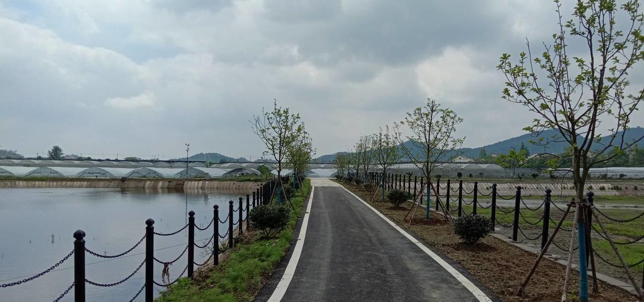 Fireworks meets idyllic poetry, Caidian District's latest check-in ...