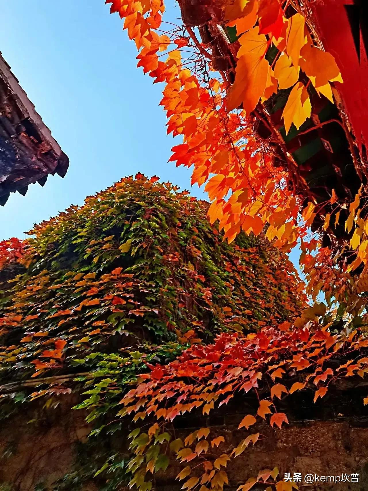 Blessed face - iNEWS