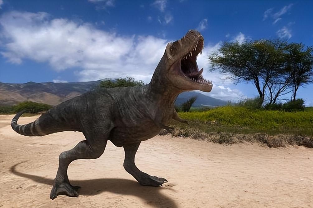 From Tyrannosaurus Rex to Egg Modern Continuation: Revealing an ...