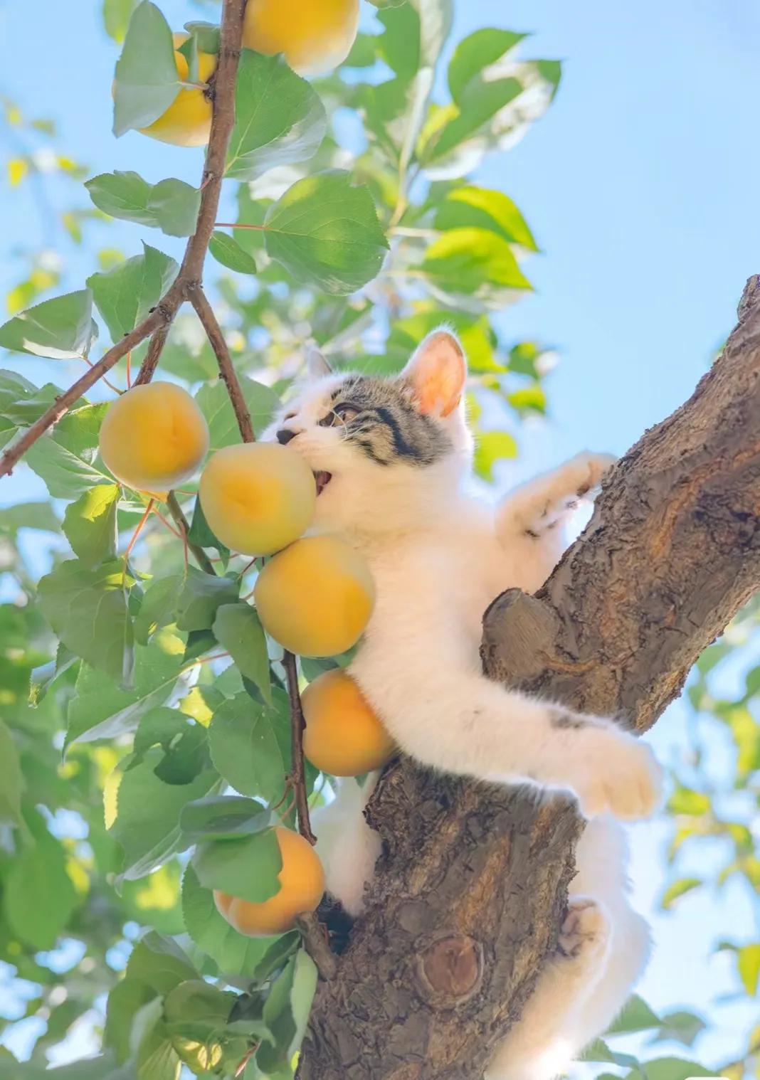 Is it really a moral kidnapping to have a baby to prevent old age? - iMedia