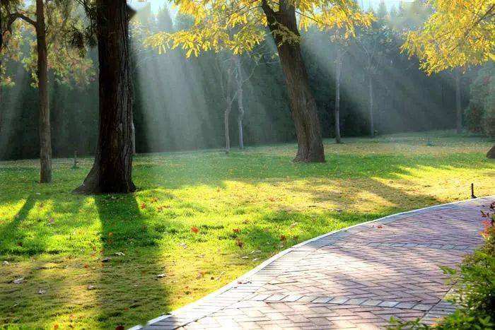 The importance of morning sunlight to the body - iNEWS