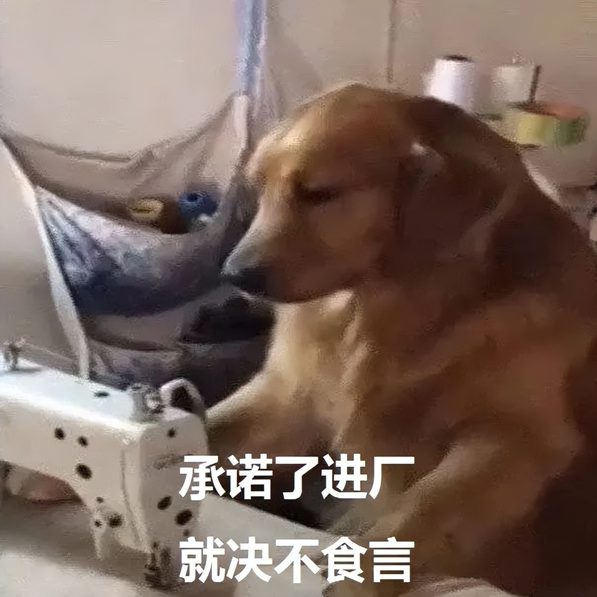 Value promises, a constellation of promise-fulfilling machines - iNEWS