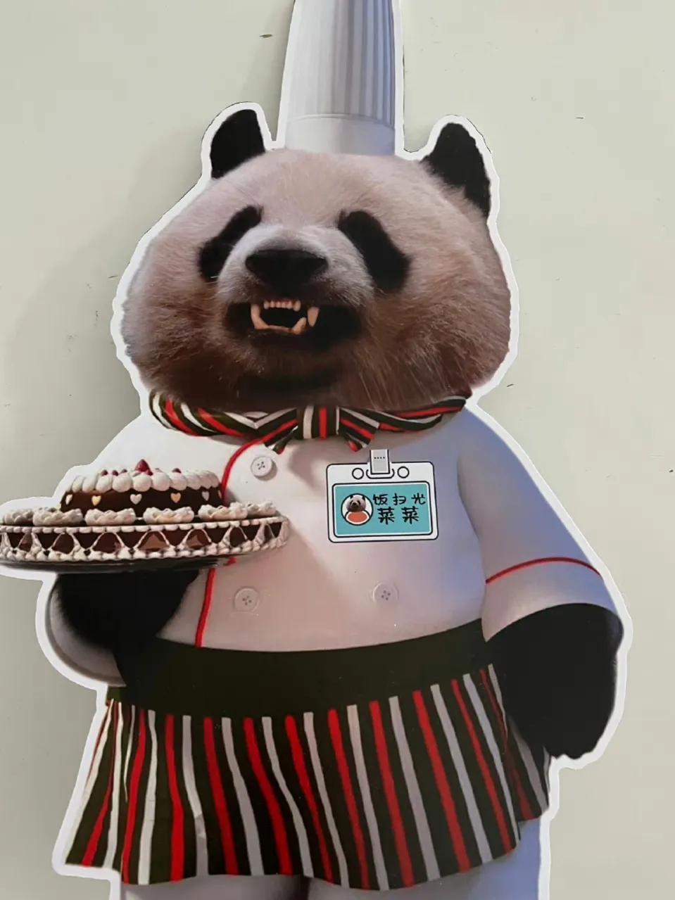 Giant Panda Runyue's Bear Profile - iNEWS