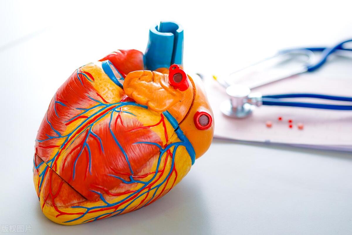 How is a 60-year-old heart different from a 20-year-old heart? - iNEWS