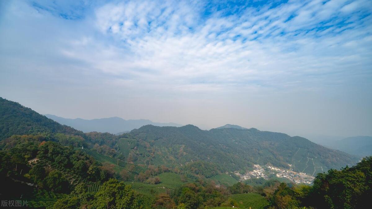 Top Ten Famous Tea Mountains in China - iNEWS