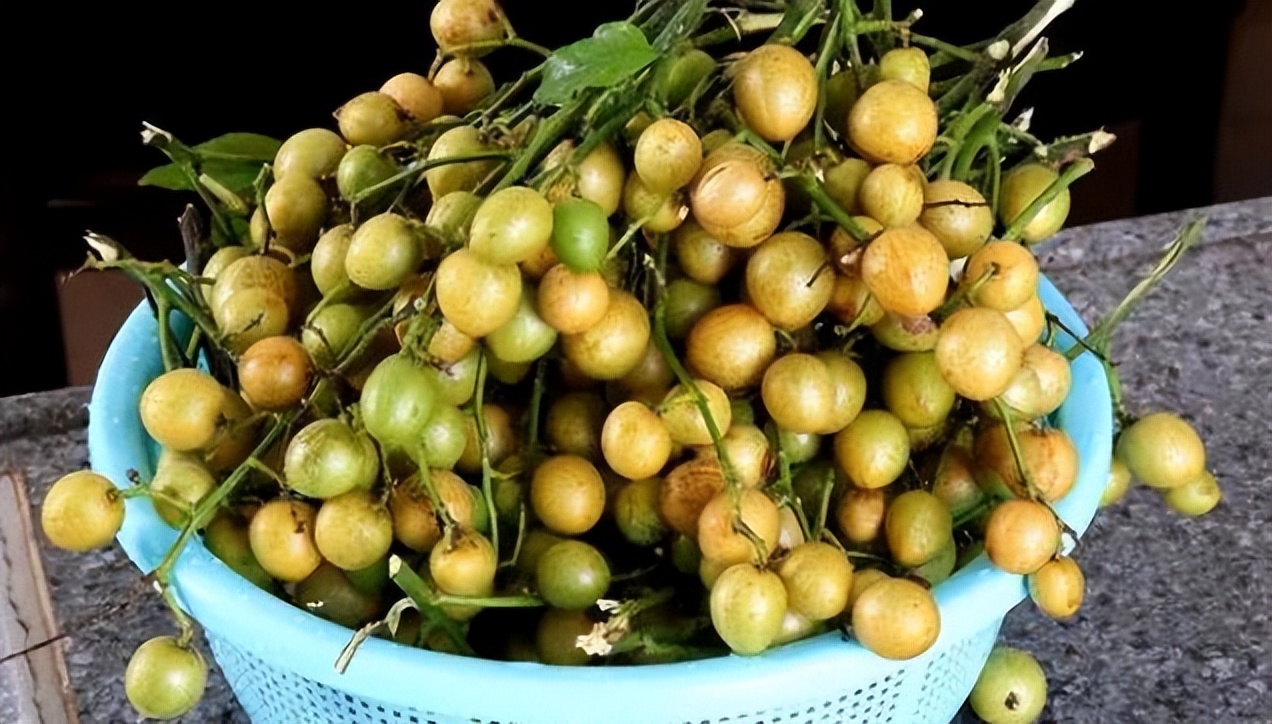 The unique "yellow fruit" in summer, do you know how to eat it? Who is ...