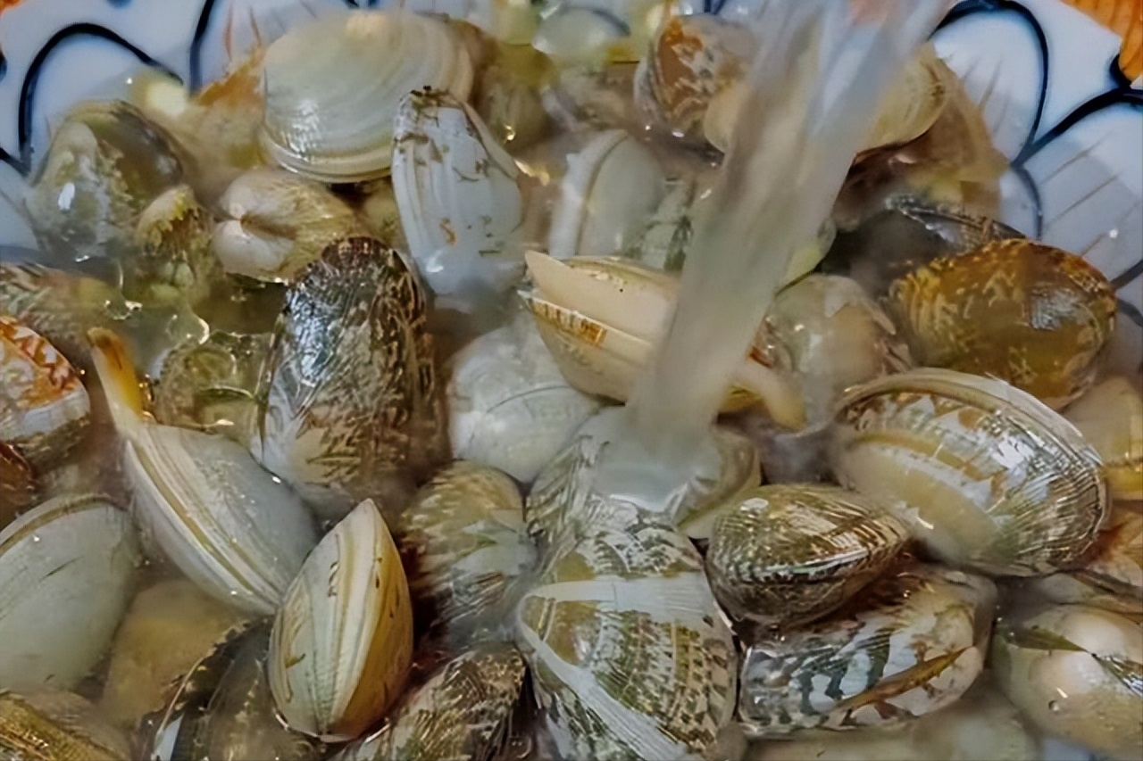 Cook a seafood feast, treat your family, and eat delicious clams in a ...