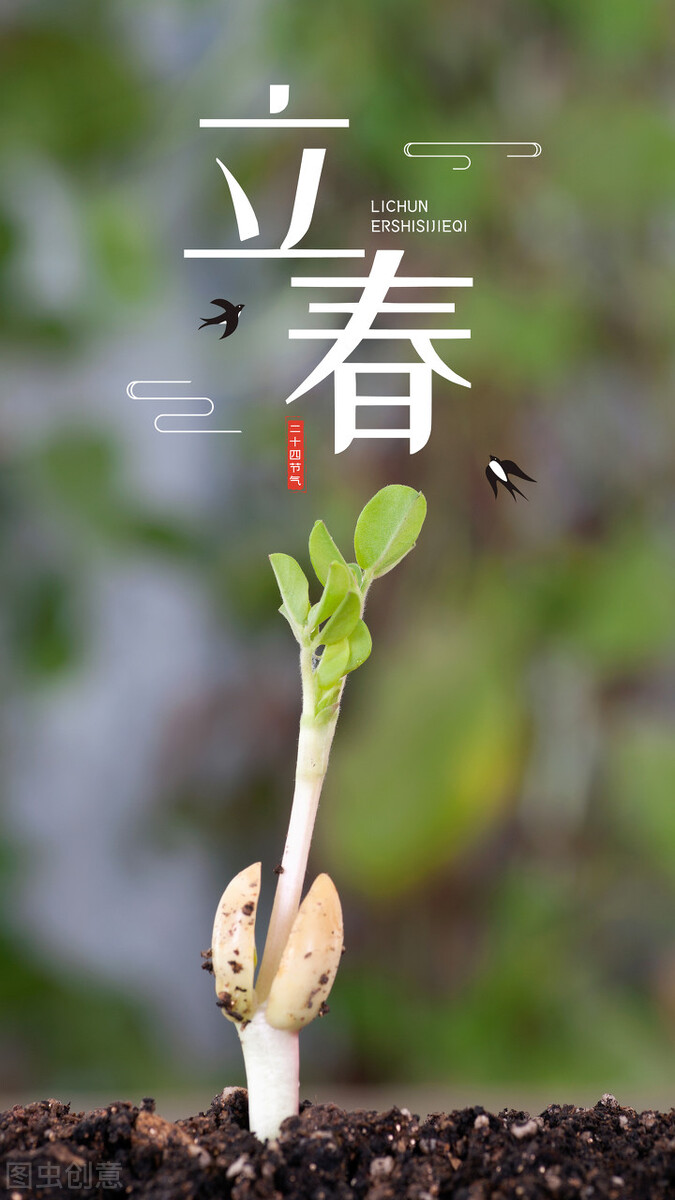 Twenty-four solar terms "Li Chun" - iNEWS
