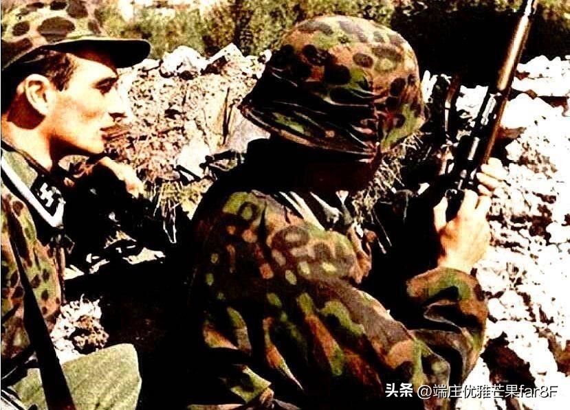 What kind of unit was the 3rd SS Death's Head Division? Did the ...