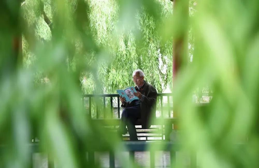 Reading is like practicing in life - iMedia