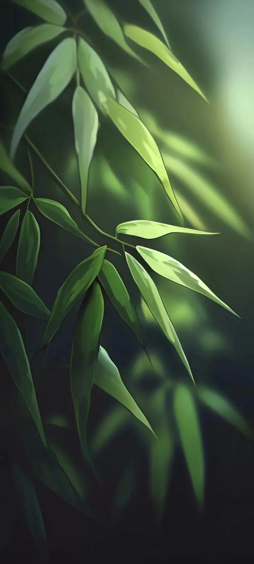 Very comfortable green eye protection wallpaper - iNEWS