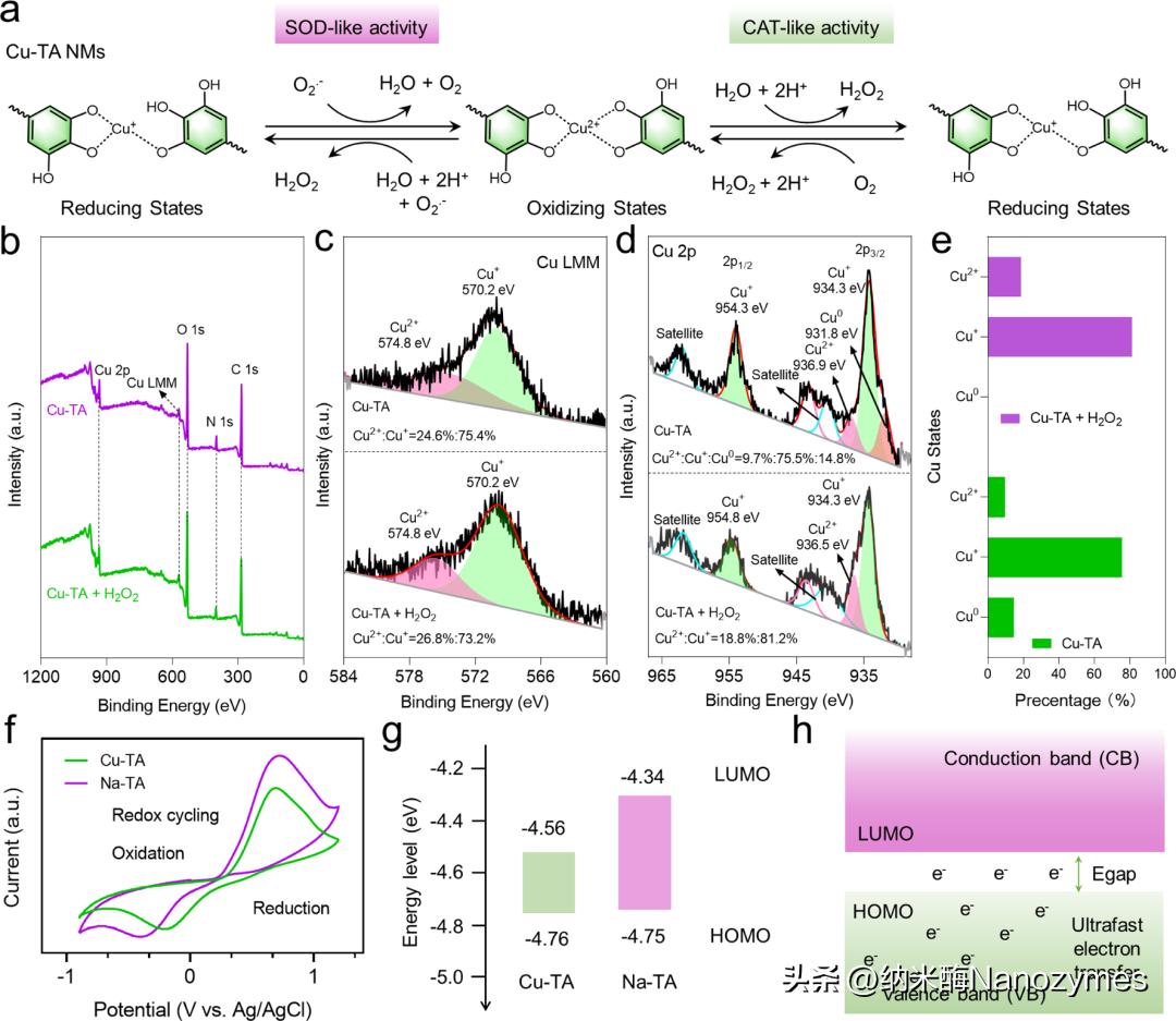 Engineering antioxidant cascade metallophenolic nanozymes to alleviate ...