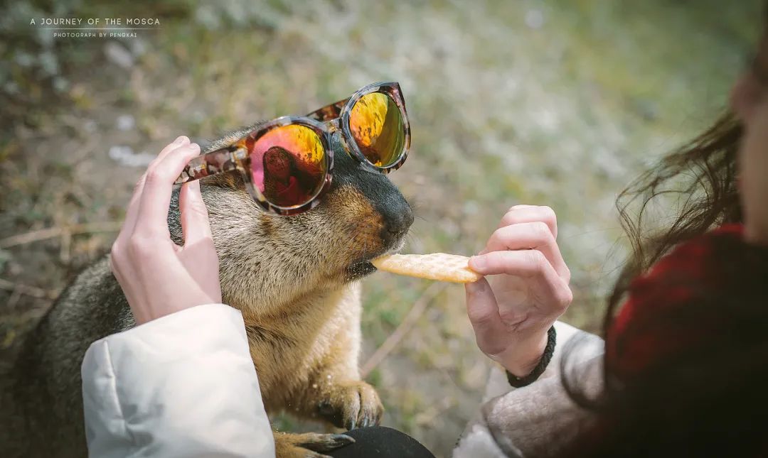 "Three-day tour" "Mosca" allows the mind to travel - iNEWS