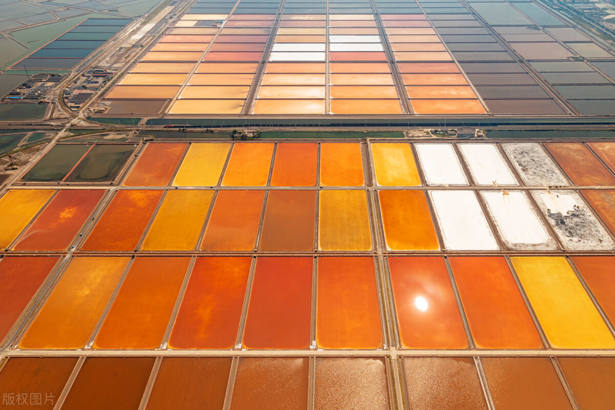 The Historical Mystery of Salt: Why Can't Humans Live Without It? Why ...