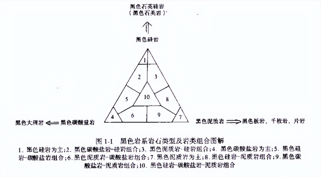 Anoxic environment, anoxic events and the origin of black rock series ...