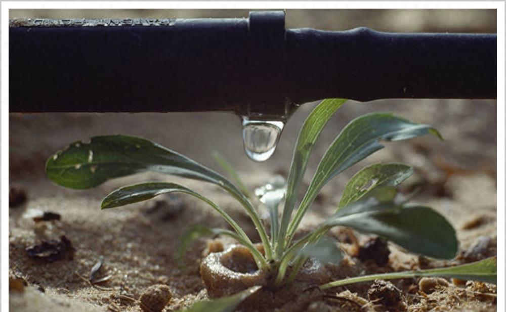 Li Ka-shing made a big bet on Israel, donating money and investing in ...