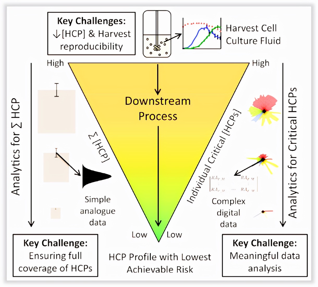HCPs in Therapeutic Protein Production and Strategies for Efficient ...