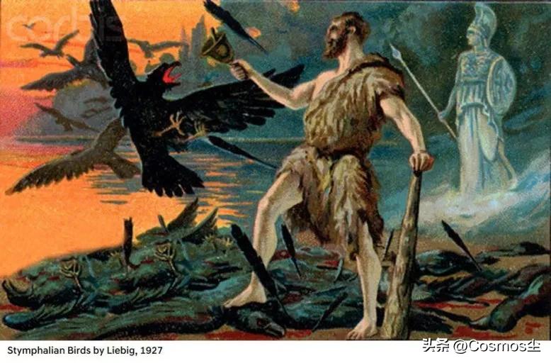 The Twelve Feats of Hercules (Part 1) - iMedia