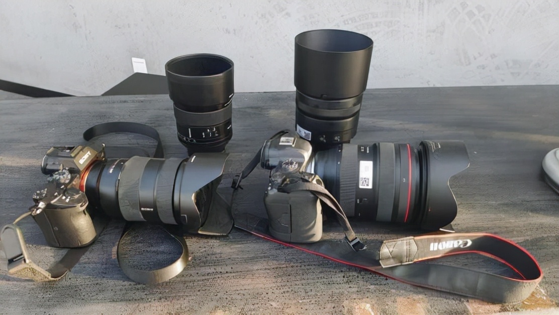 Is there such a big difference in skin color of portraits?Canon EOS R6 VS Sony A7M3 Portrait ...