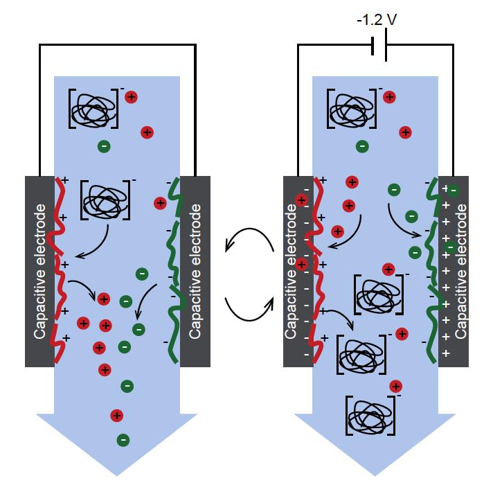 How to achieve low-cost separation of proteins? - iNEWS