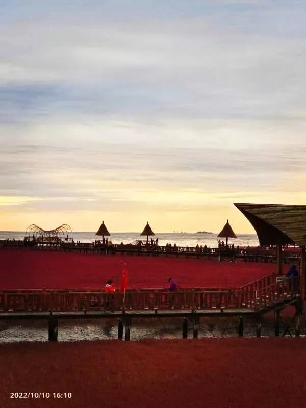 The beauty of red beach in autumn - iNEWS