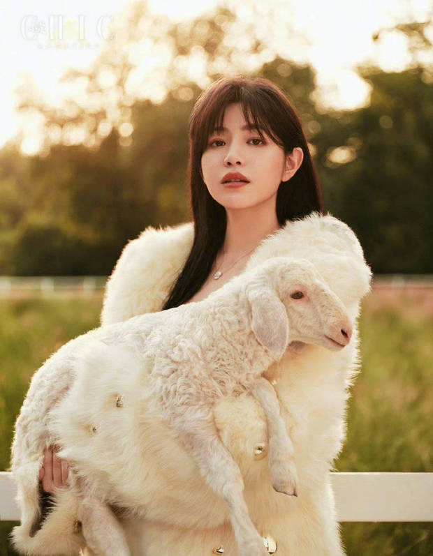 Michelle Chen basks in a photo of a horse farm in autumn - iNEWS