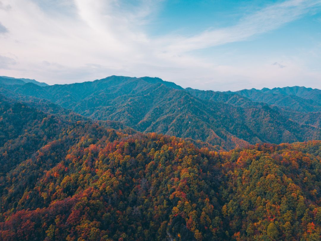 In ancient times, a colder climate meant extinction, and a warmer ...