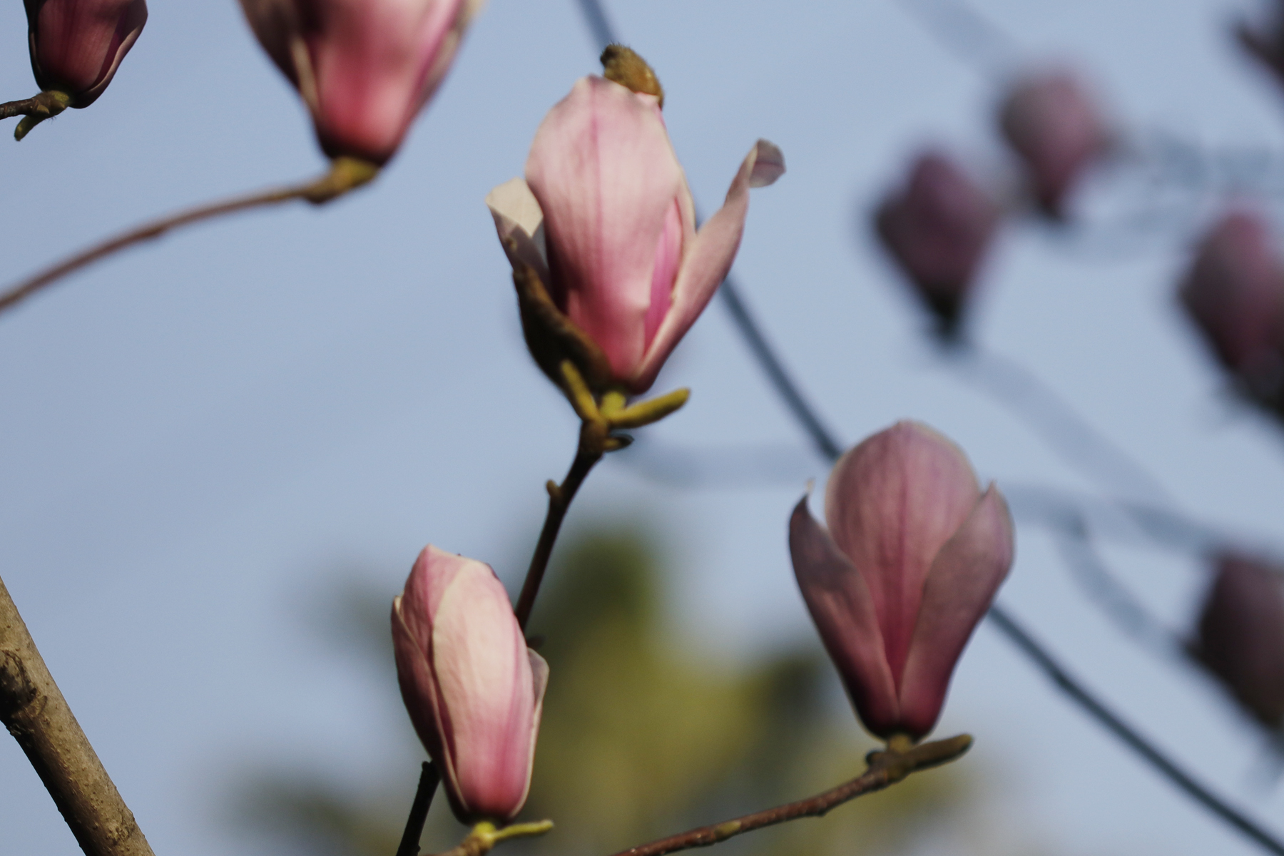 Sympathy: Lu Meng's Rescue of Yu Fan - iNEWS