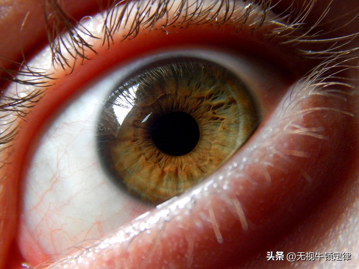 How did your eye color come about? The Mystery of Genes' Inherent ...