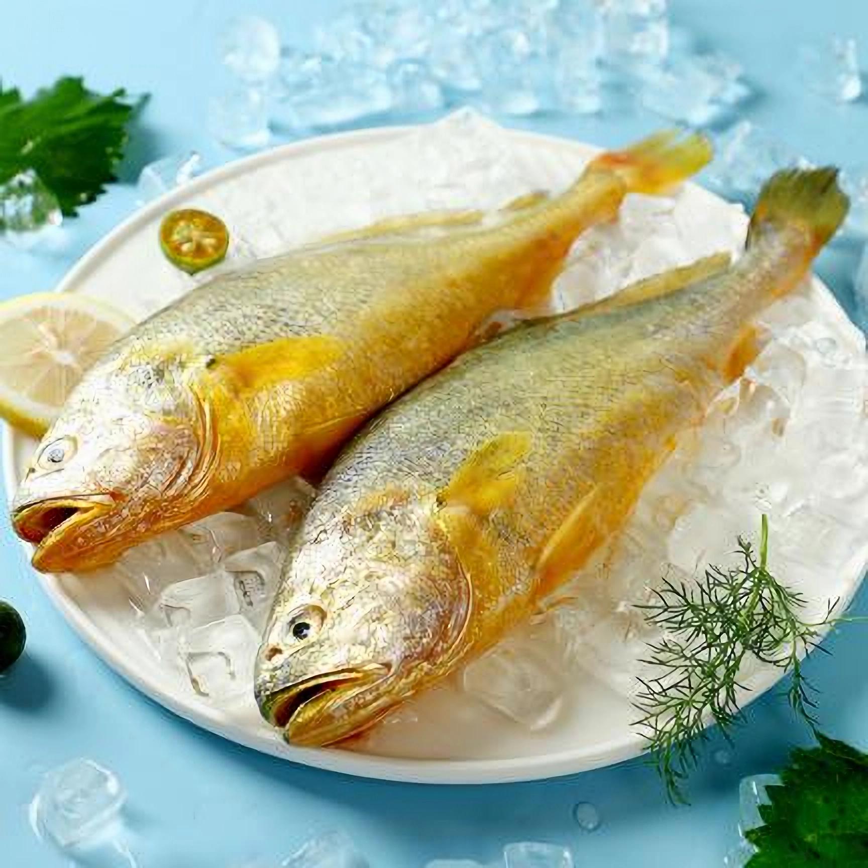 Put an end to rumors! Freshly killed fish is the best? most people get ...