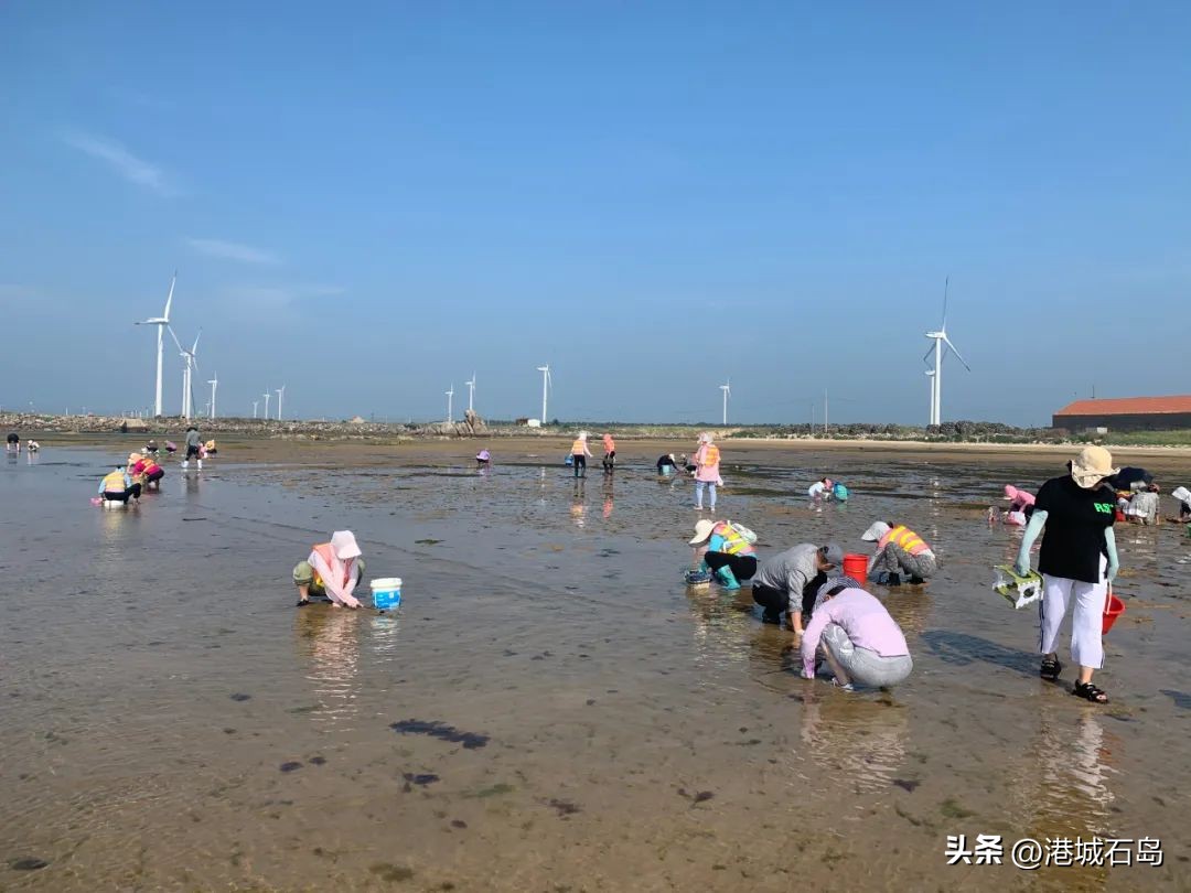 On the big beach, dig and dig and dig... - iNEWS