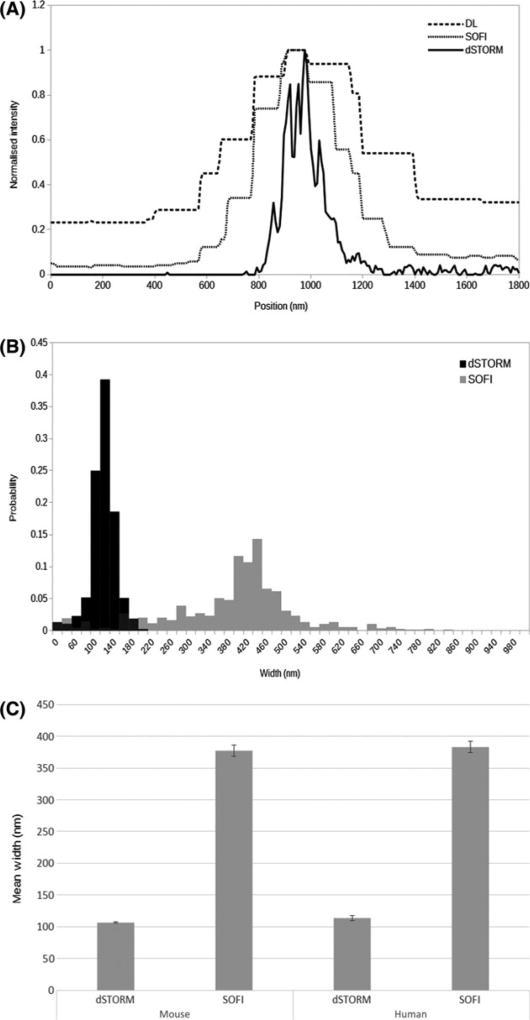 Super-resolution imaging of subcortical white matter using stochastic optical reconstruction ...