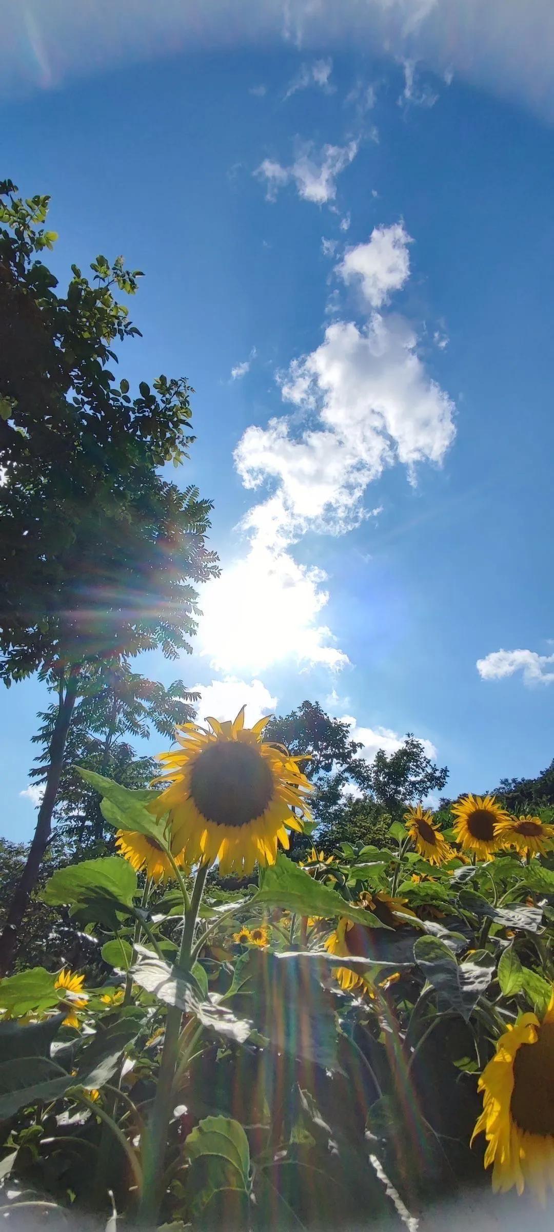 Saved wave of landscape photos - iNEWS