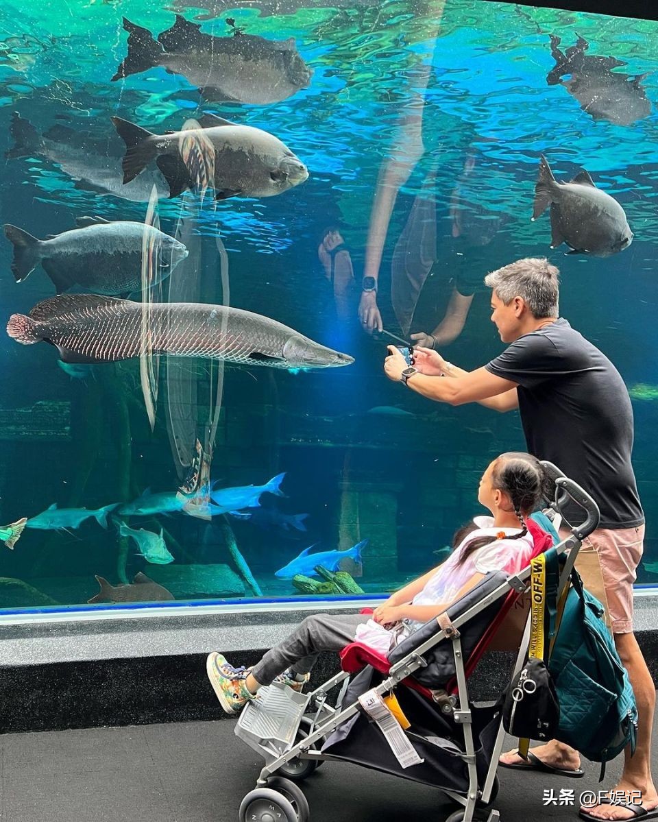 Zhong Liqi's family of four traveled abroad together for the first time ...