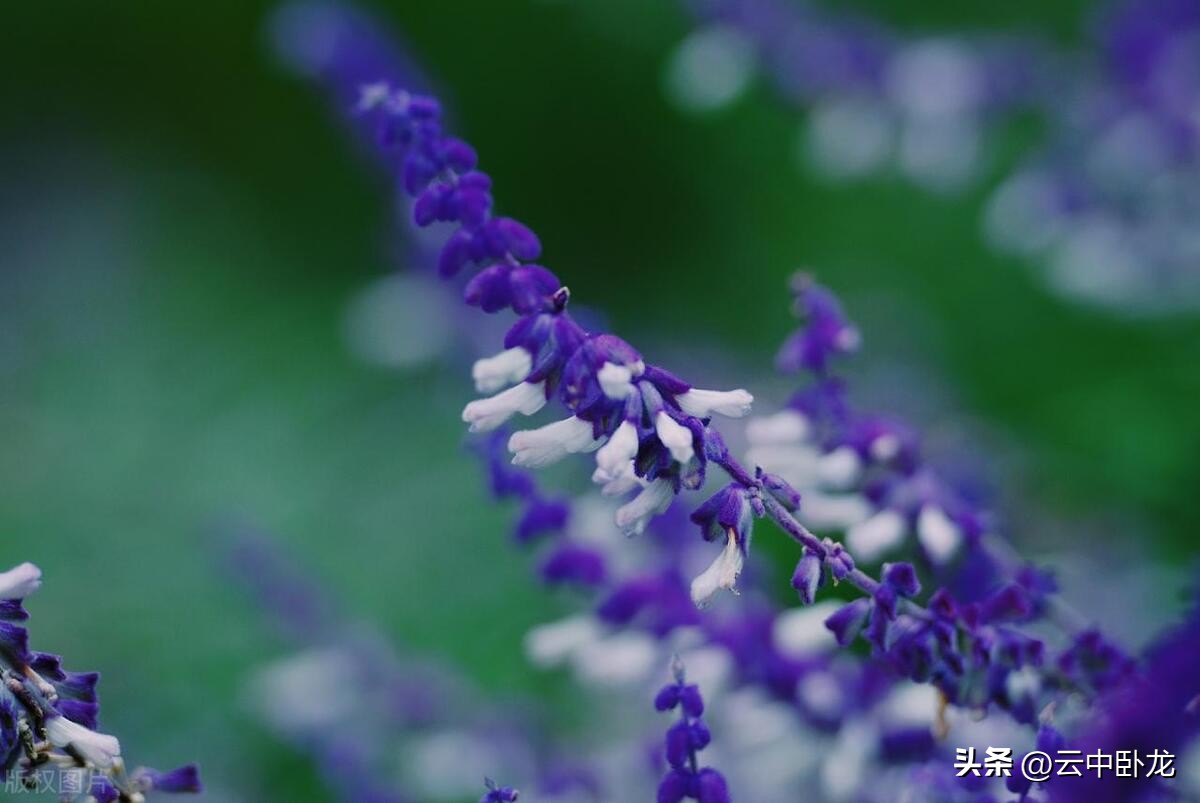 Lao Han told a story: hook face - iNEWS