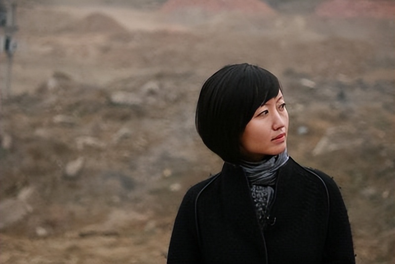 In 2013, CCTV host Chai Jing went to the United States to give birth ...