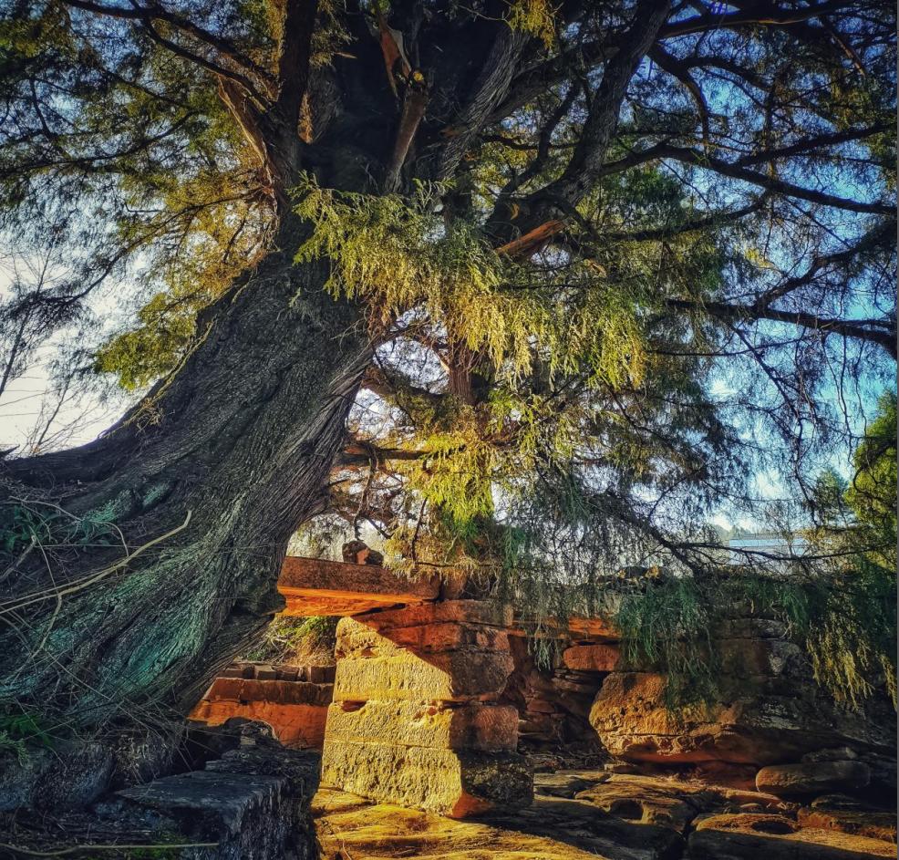 Jiange Shidonggou Huangbai ancient road rhyme is deep and fragrant - iNEWS