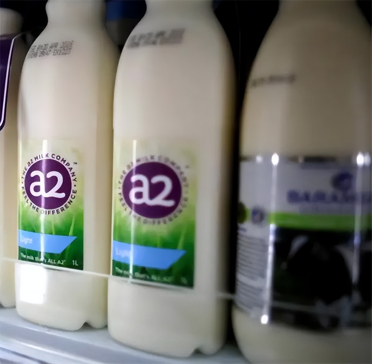 7 cold facts about milk, milk also has bloodlines, A2 milk is rare, and ...