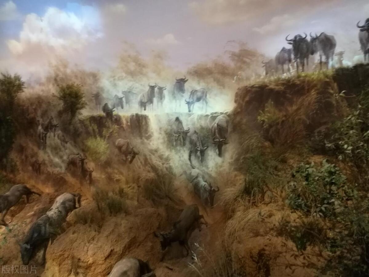 Huang Hu's Flying, Thousands of Miles in One Swipe, Analysis of Huang ...