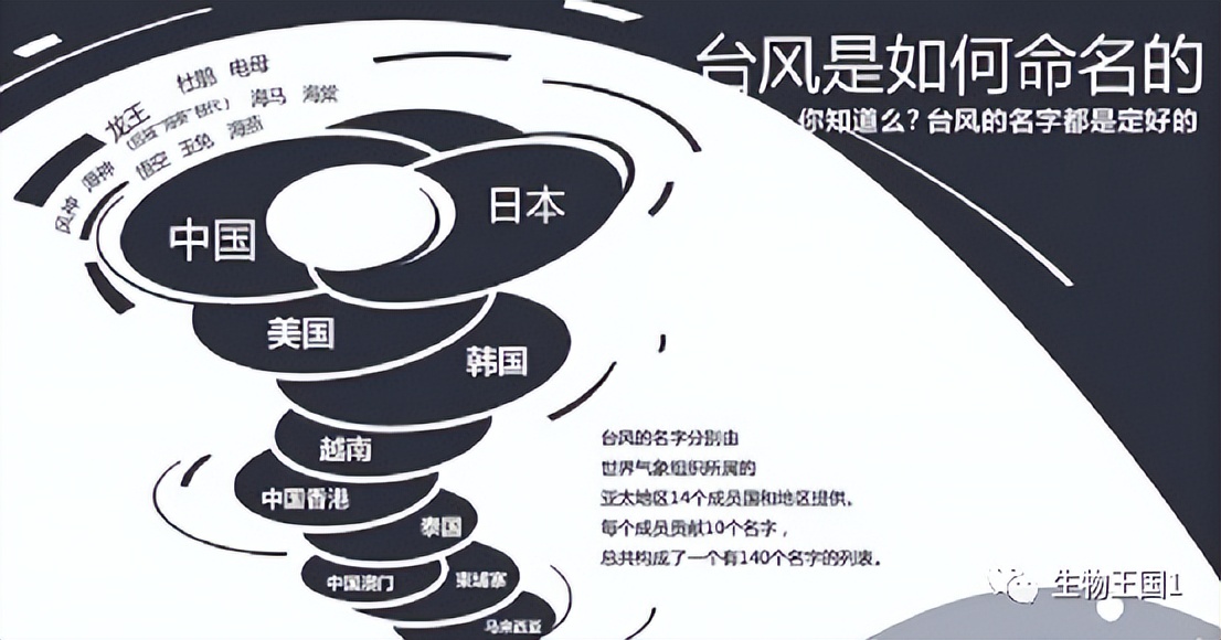 How do we name typhoons? - iMedia