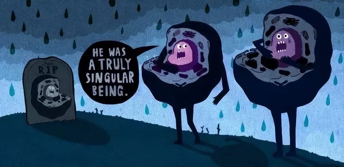 Cells are the foundation of the human body!Get ill?In fact, cells are ...