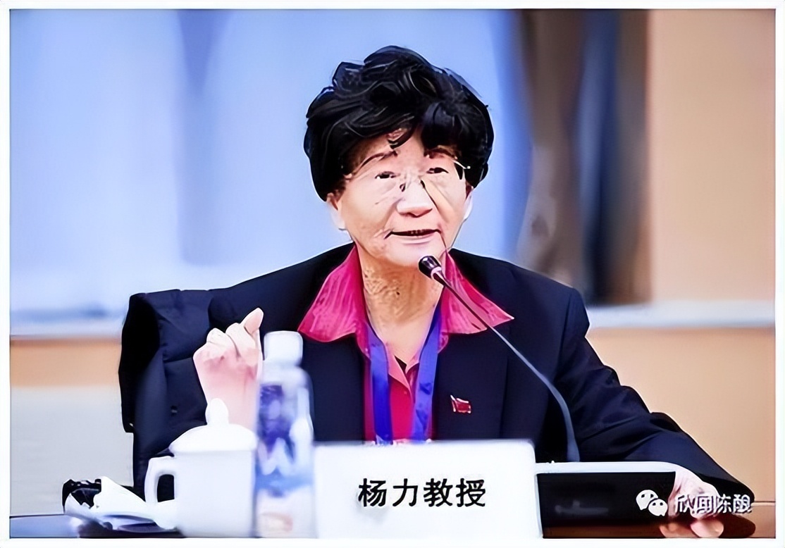 Professor Yang Li: The Summer Palace Fu - iNEWS