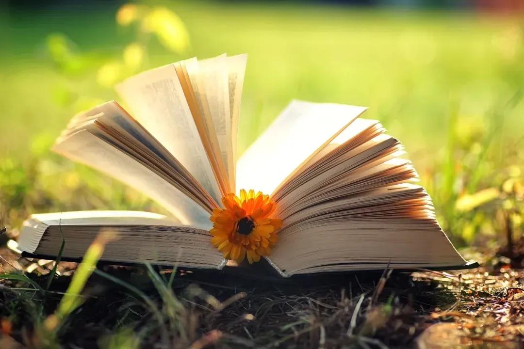 Let children fall in love with reading - iNEWS