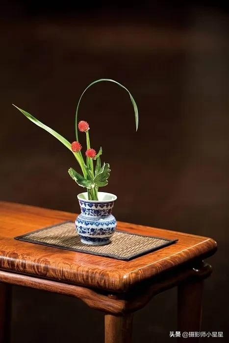 Zen flower arrangement photography: unique Chinese aesthetics, self ...