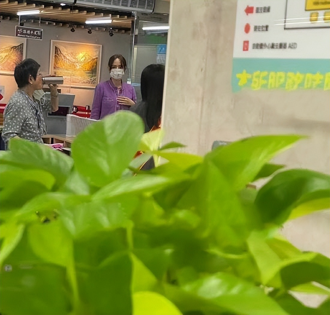 You can really find true love in variety shows. Joe Chen and Allen got ...