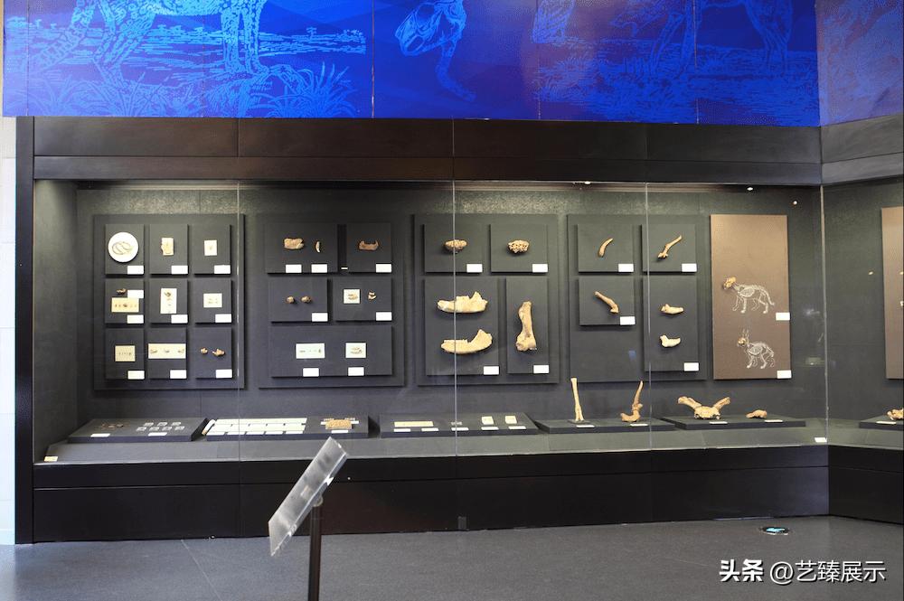 Precautions for the design of cultural relics showcase - iNEWS