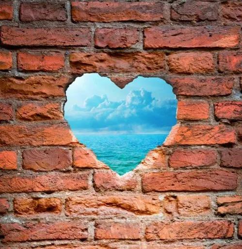 Fans are tearing each other up, please don't be violent online! This ...