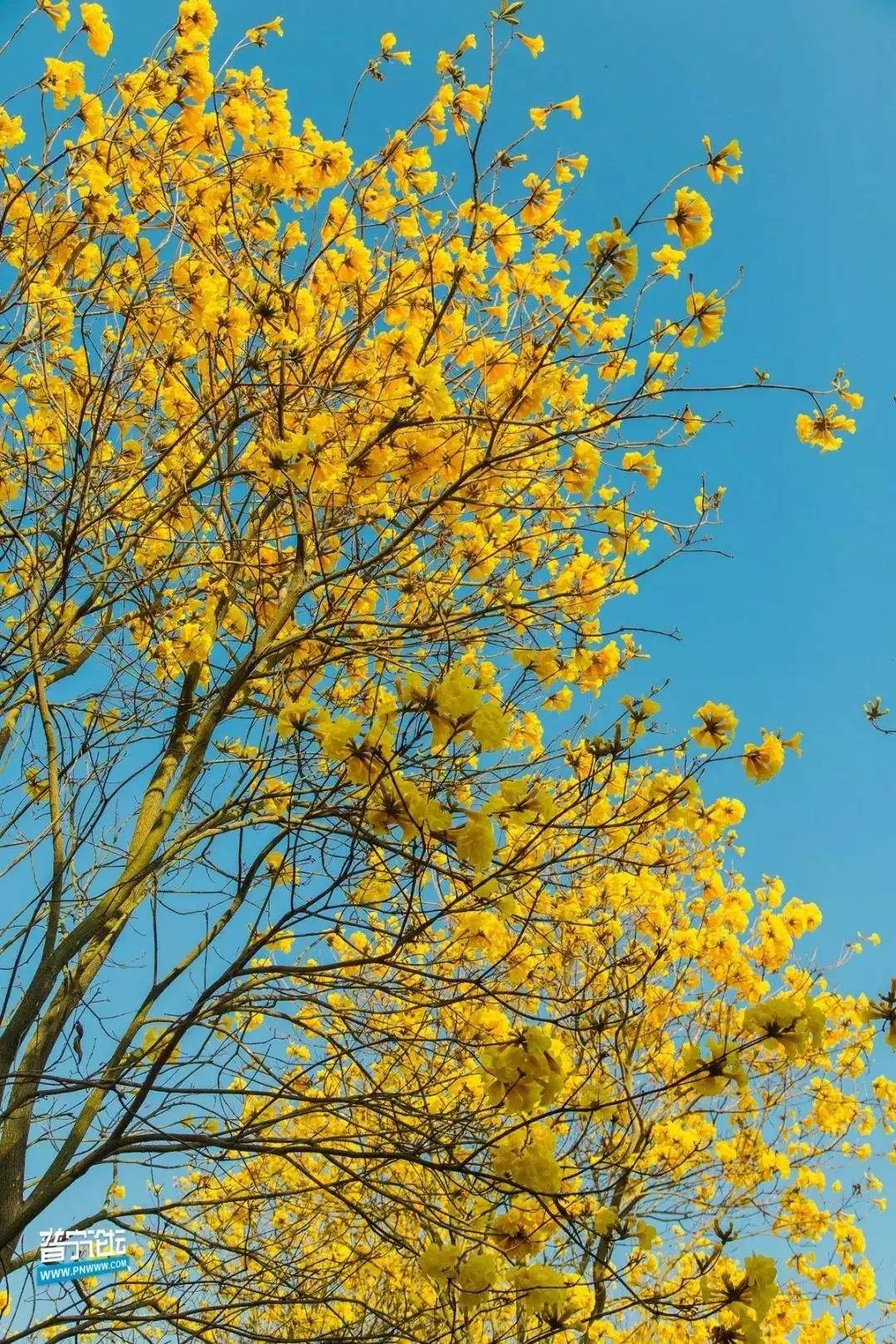 Seven words, Gui Mao. - iNEWS