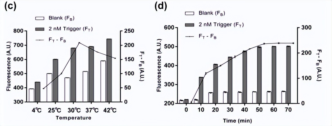 Novel DNAzyme-Enhanced Nonlinear Hybridization Chain Reaction for ...